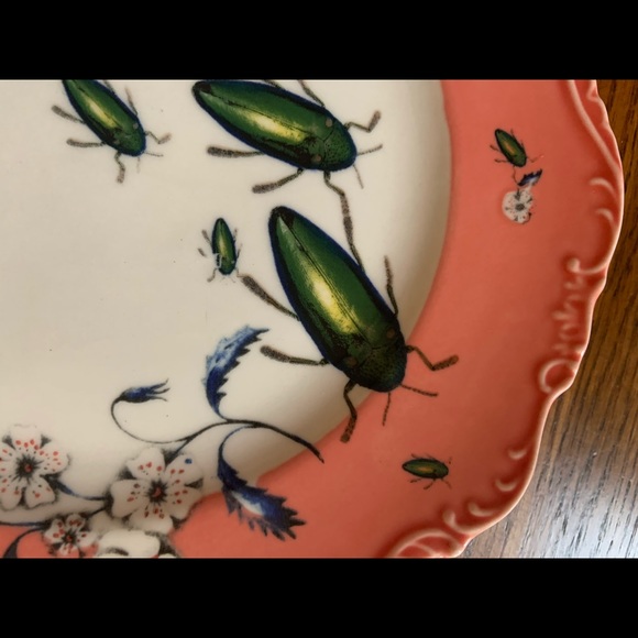 Anthropologie | Dining | Lou Rota For Anthropologie Nature Table Plates ...